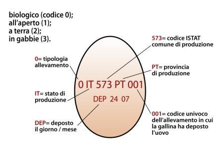 ETICHETTATURA DEI PESCI E DELLE UOVA